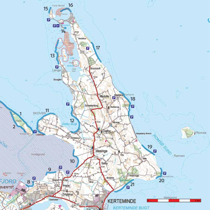 Der Schutz des Odense Fjords - Meerforelle Fyn